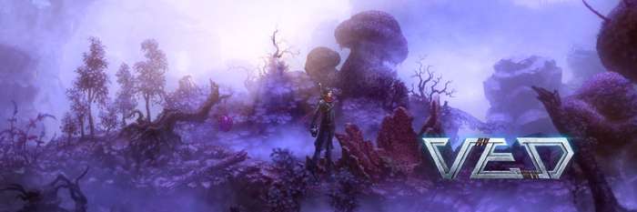 How to Port Forward in Your Router for Ved